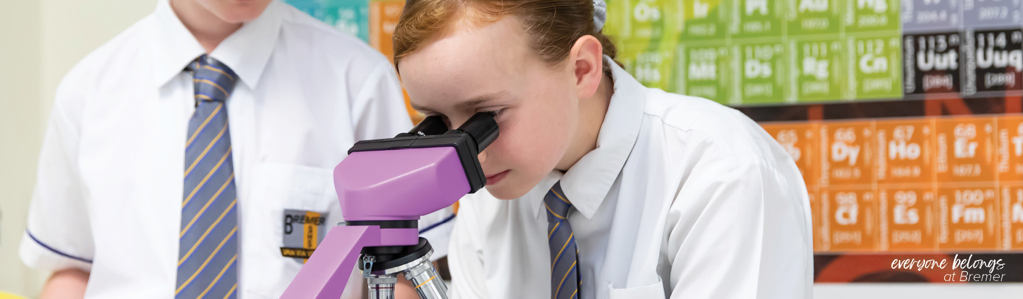 Bremer State High School