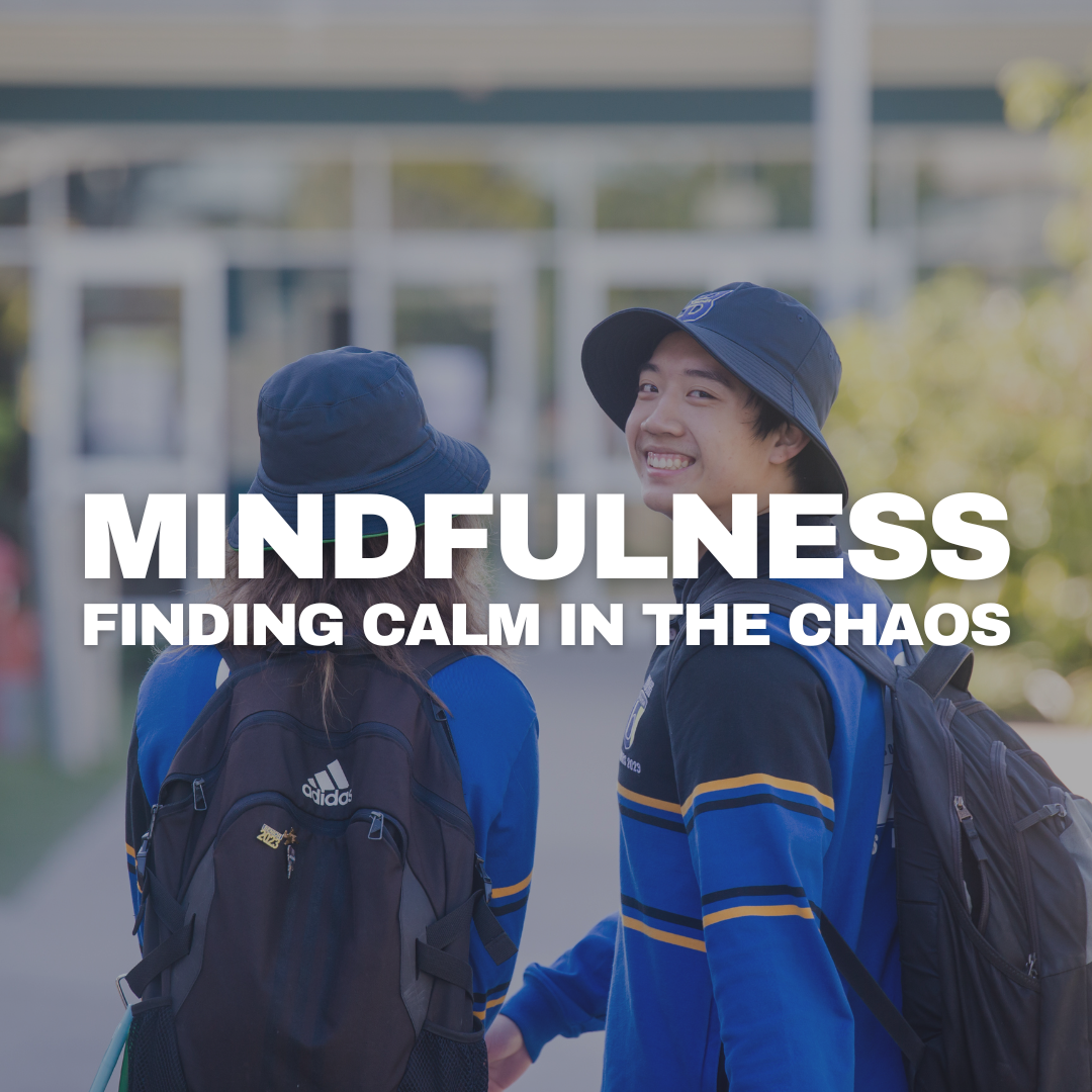 The Power of Mindfulness: Finding Calm in the Chaos